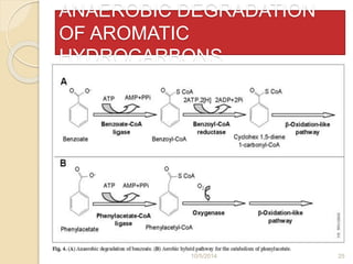 Mechanism of aerobic & an aerobic biodegradation | PPTX