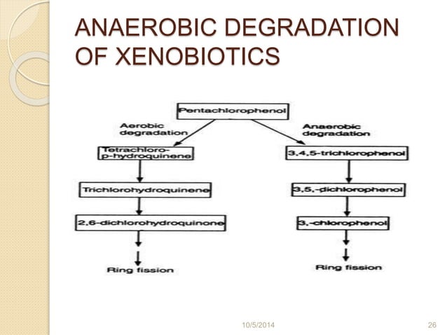 Mechanism of aerobic & an aerobic biodegradation | PPTX | Chemistry ...