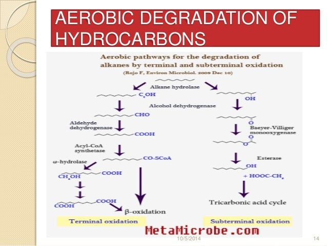 Mechanism of aerobic & an aerobic biodegradation