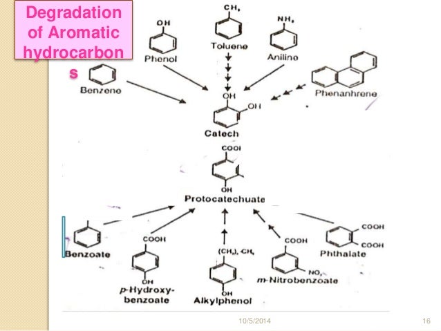 Mechanism of aerobic & an aerobic biodegradation