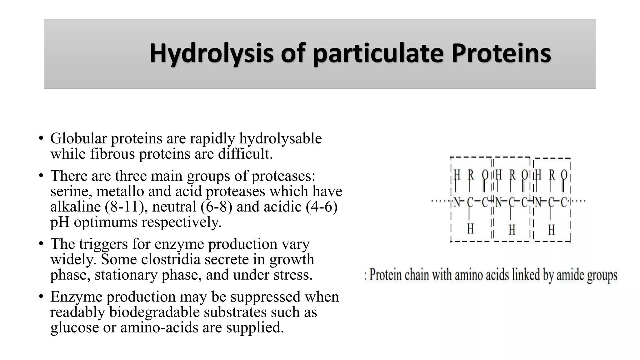 MECHANISM OF ANAEROBIC BIODEGRADATION new.pptx