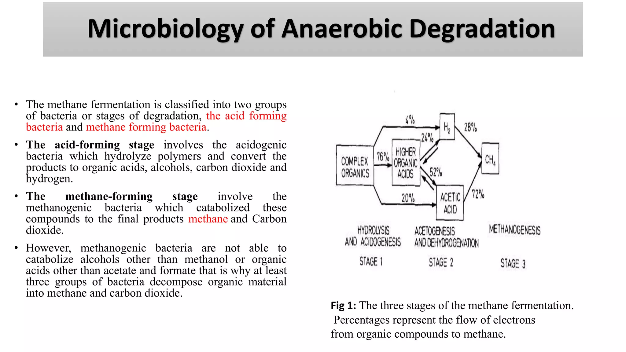 MECHANISM OF ANAEROBIC BIODEGRADATION new.pptx