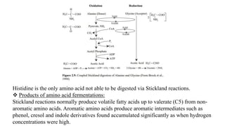 MECHANISM OF ANAEROBIC BIODEGRADATION new.pptx