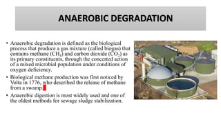 MECHANISM OF ANAEROBIC BIODEGRADATION new.pptx