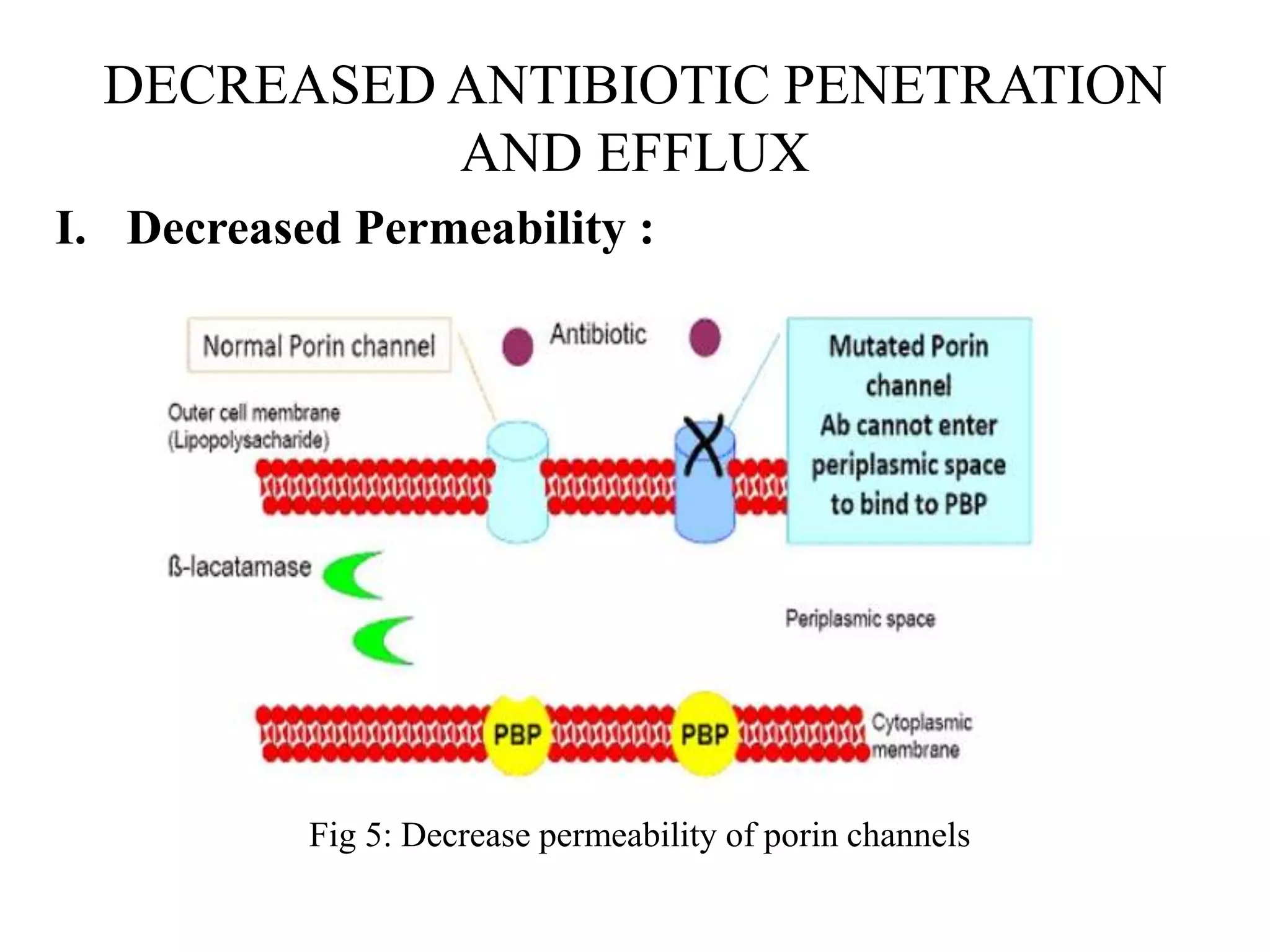 Mechanism of antibiotic resistance | PPTX