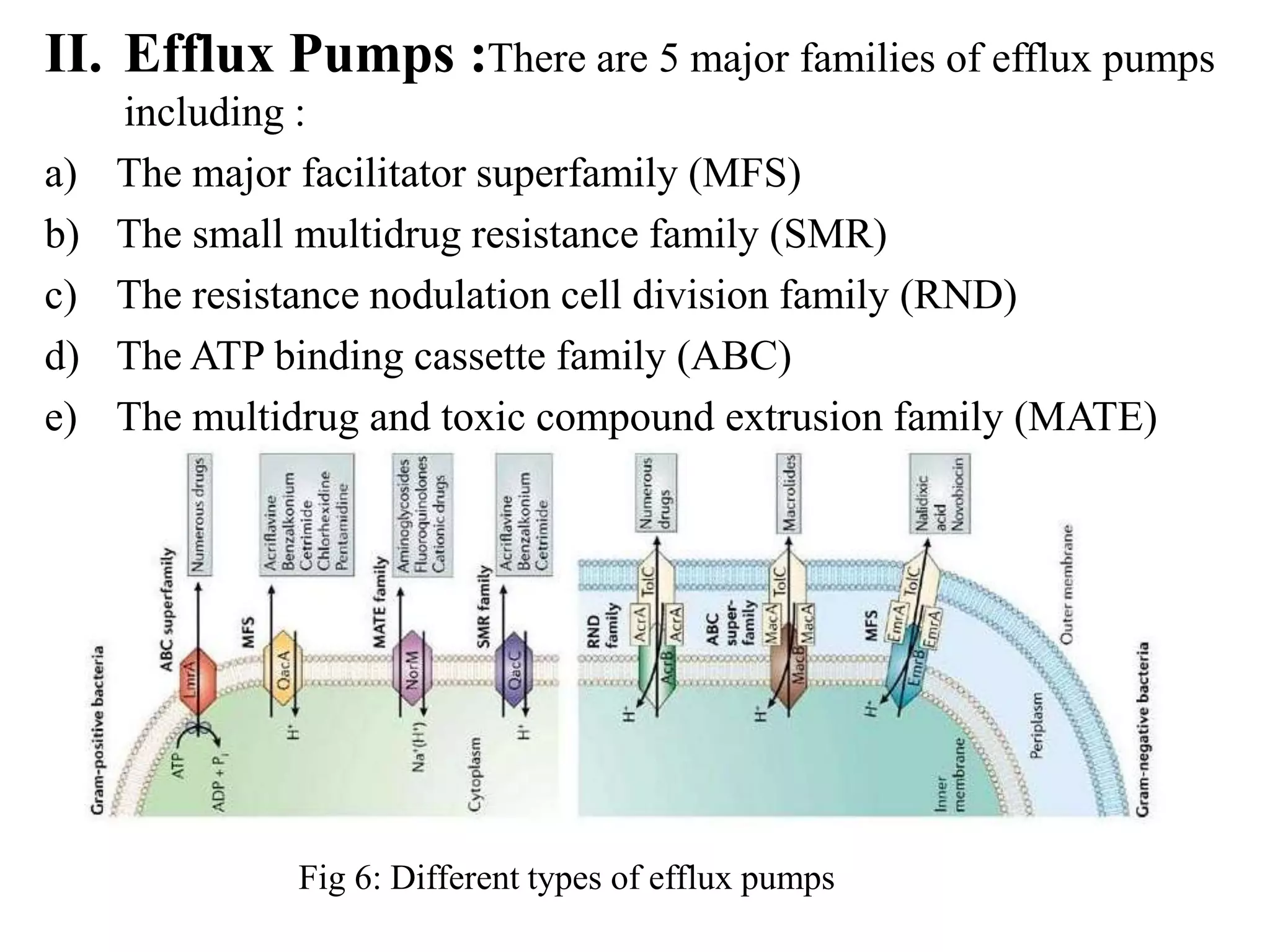 Mechanism of antibiotic resistance | PPTX