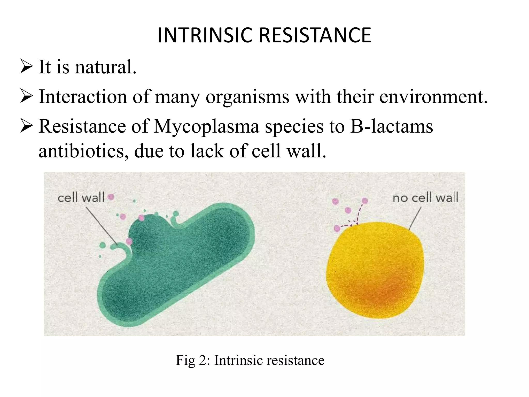 Mechanism of antibiotic resistance | PPTX