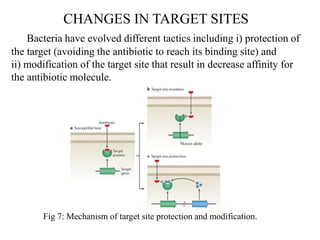 Mechanism of antibiotic resistance | PPTX