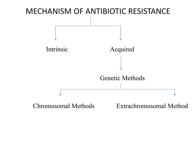 Mechanism of antibiotic resistance | PPTX