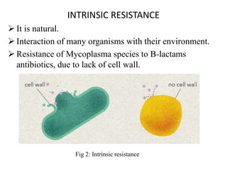Mechanism of antibiotic resistance | PPTX