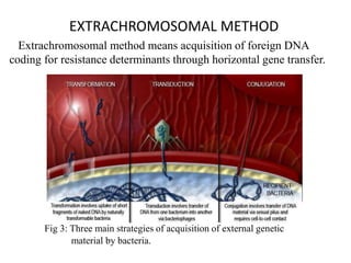 Mechanism of antibiotic resistance | PPTX