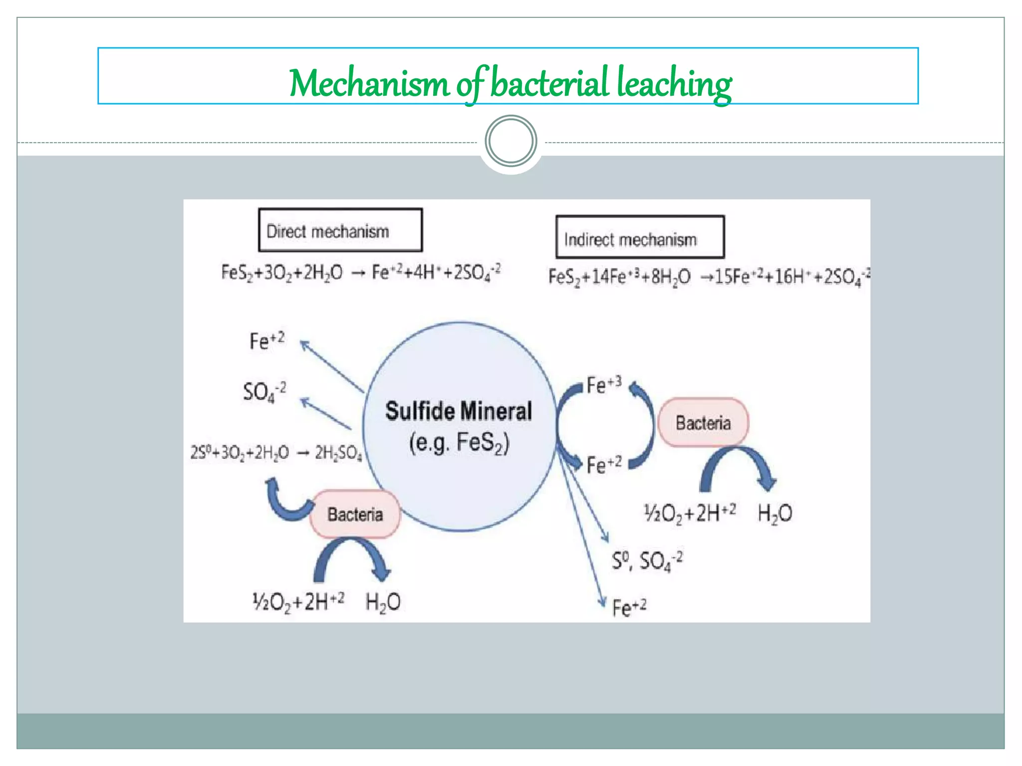 Mechanism of bacterial leaching | PPTX | Chemistry | Science