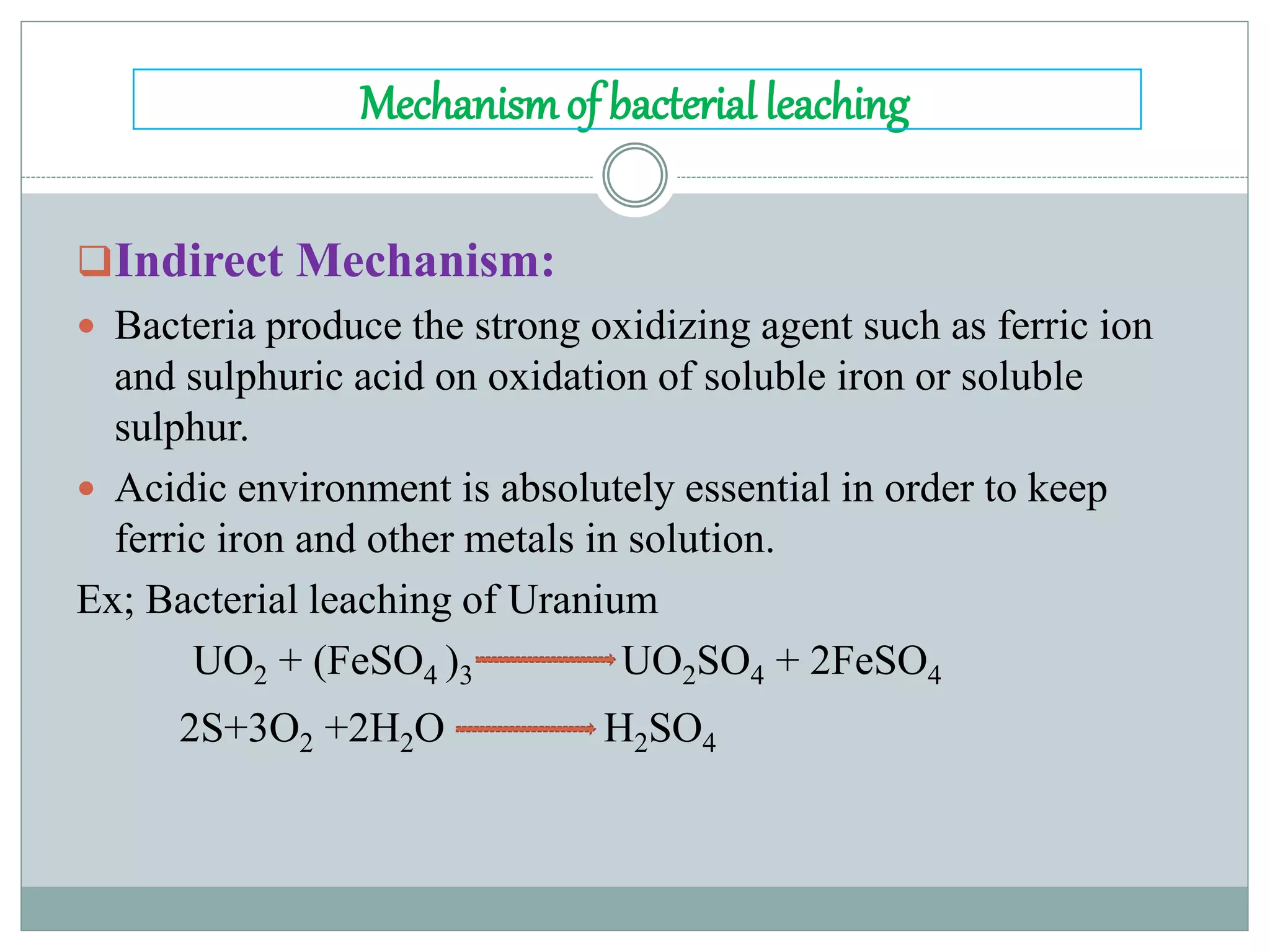 Mechanism of bacterial leaching | PPTX | Chemistry | Science