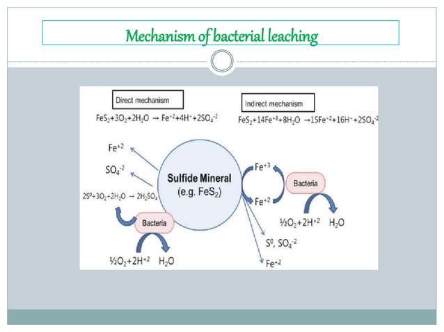Mechanism of bacterial leaching | PPT