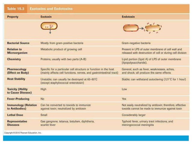 Bacterial pathogenesis | PPTX