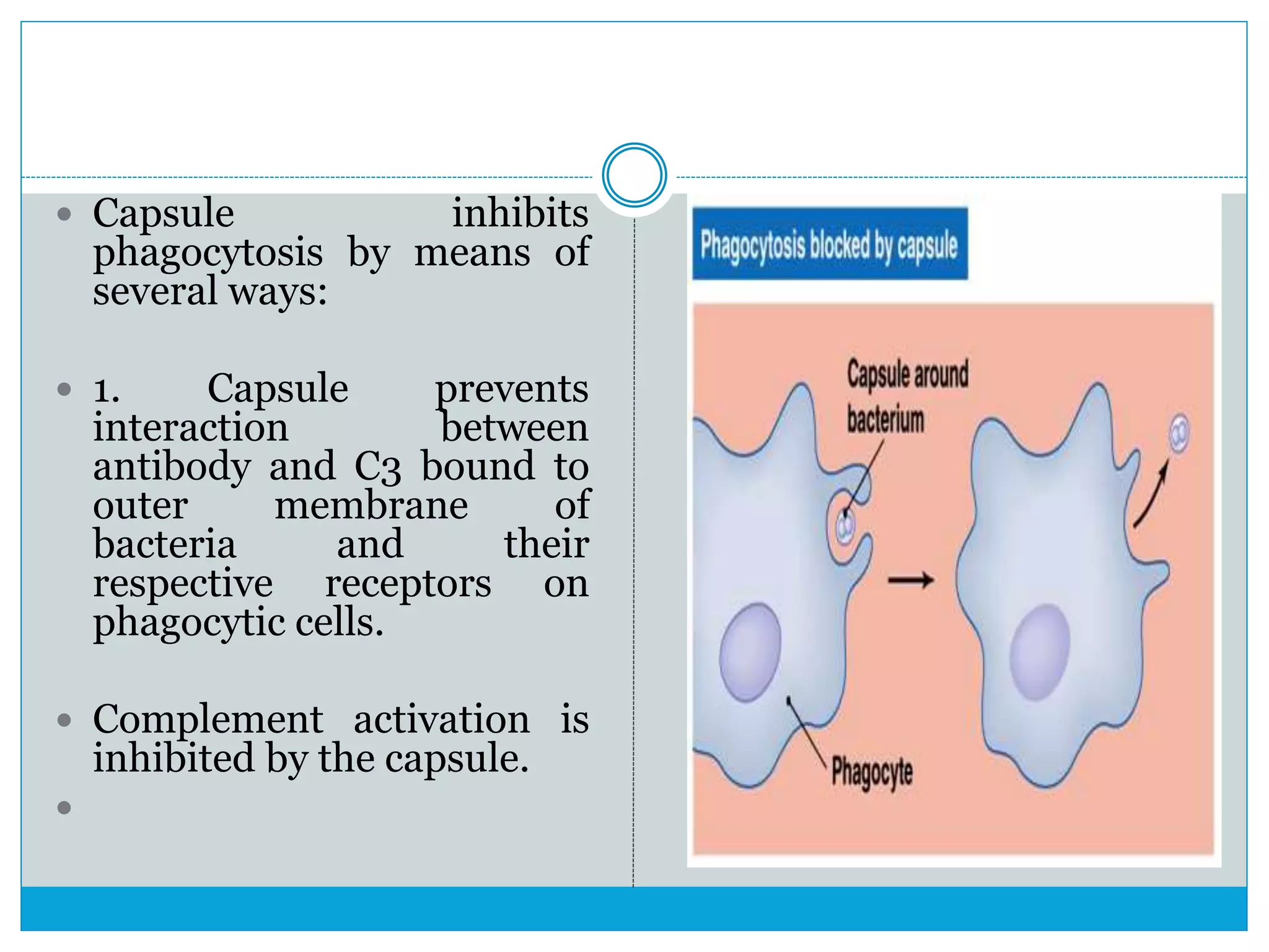 Mechanism of bacterial pathogenesis | PPTX