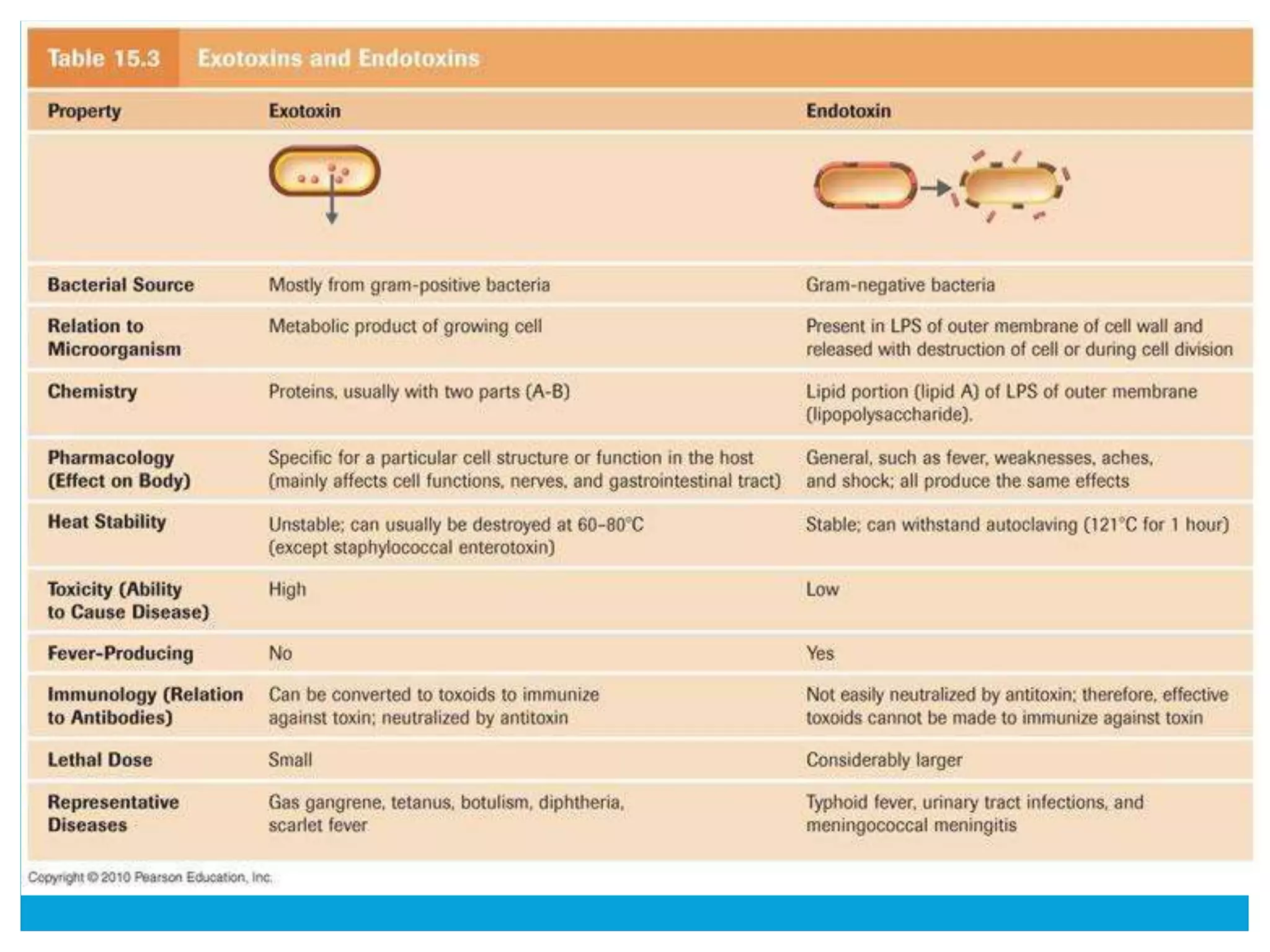 Mechanism of bacterial pathogenesis | PPTX