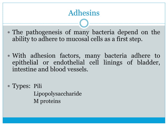 Mechanism of bacterial pathogenesis | PPTX | Infectious Diseases ...