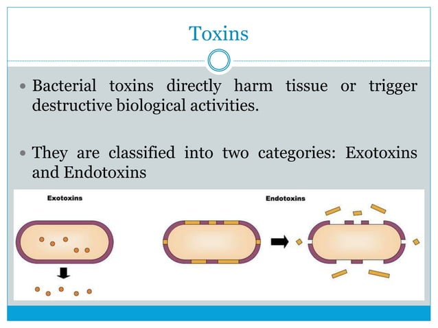 Mechanism of bacterial pathogenesis | PPTX | Infectious Diseases ...