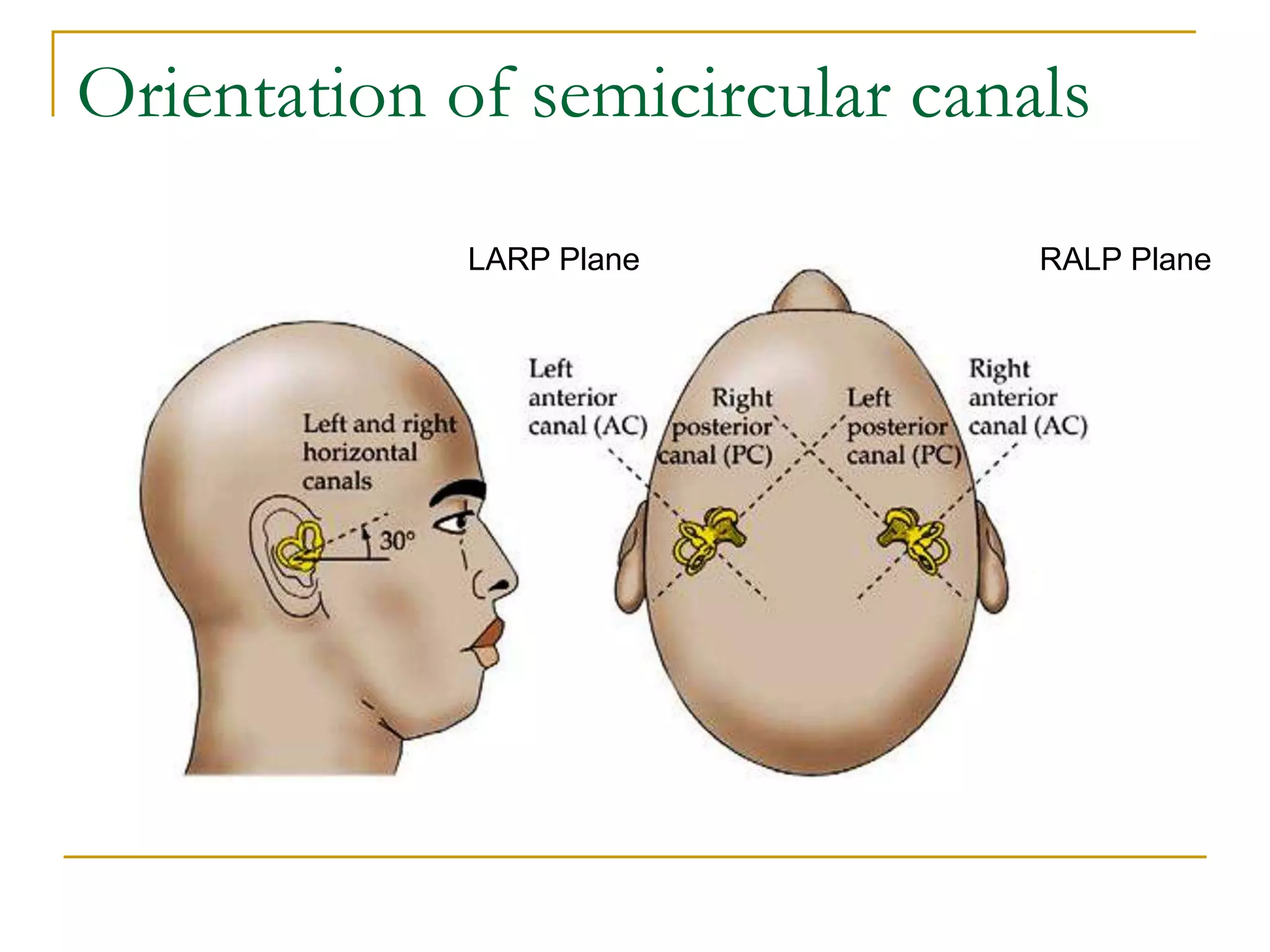 Mechanism of balance & vestibular function test Dr Utkal Mishra | PPSX