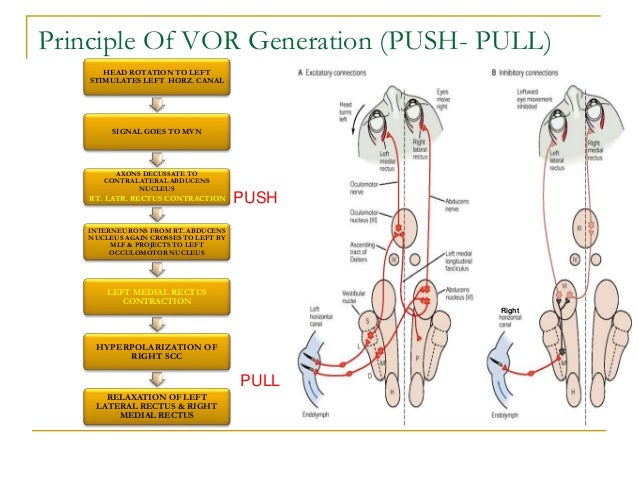 Mechanism of balance & vestibular function test Dr Utkal Mishra