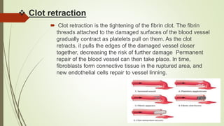 Mechanism of blood clotting | PPTX