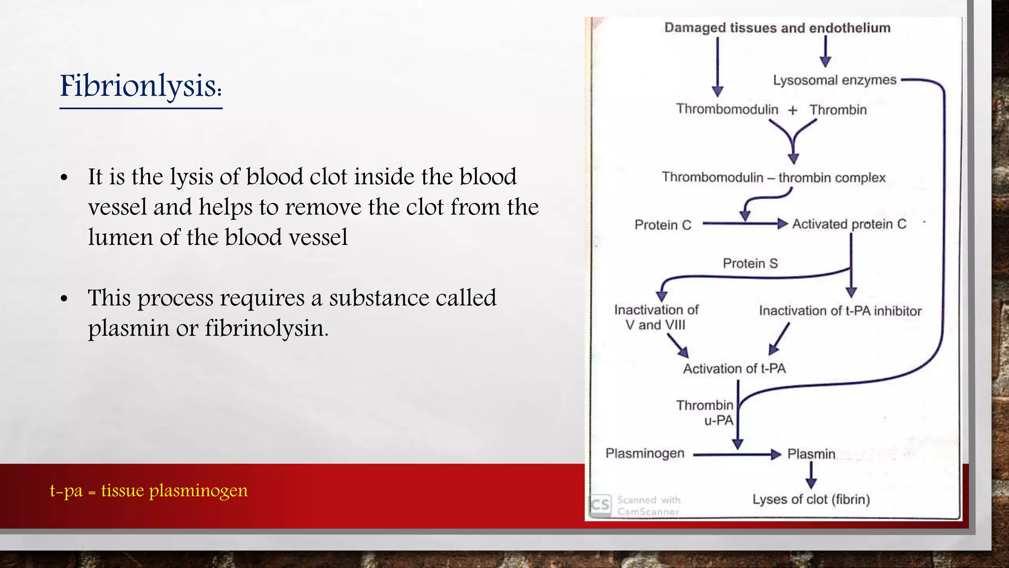 Mechanism of blood clotting and blood dyscrasias | PPTX
