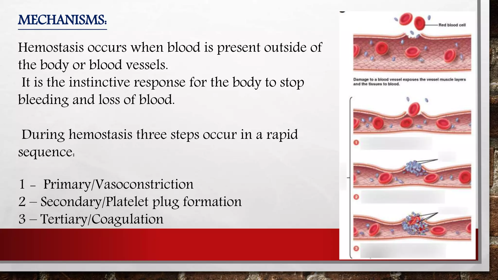 Mechanism of blood clotting and blood dyscrasias | PPTX