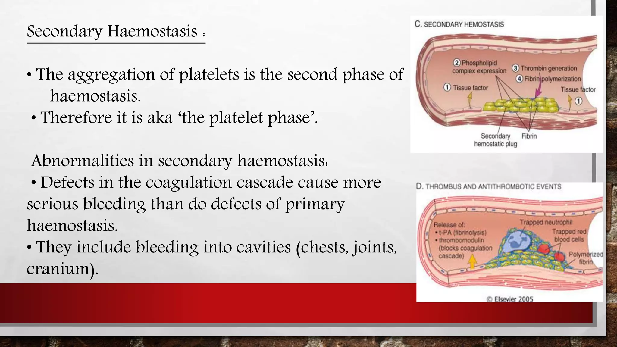 Mechanism of blood clotting and blood dyscrasias | PPTX