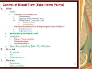 Mechanism of blood flow control. 2017 | PPT