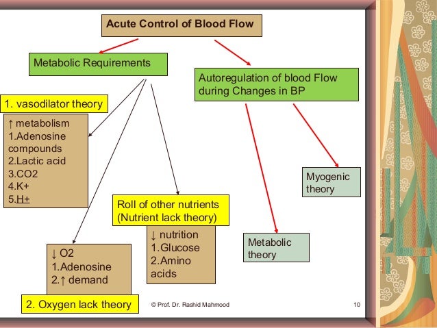 Mechanism of blood flow control. 2017