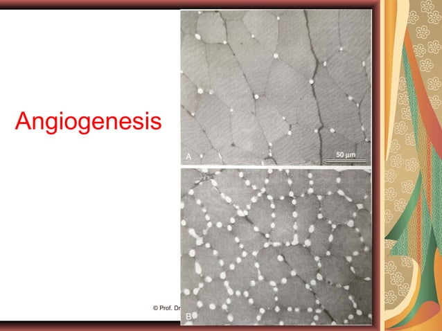 Mechanism of blood flow control-II | PPT