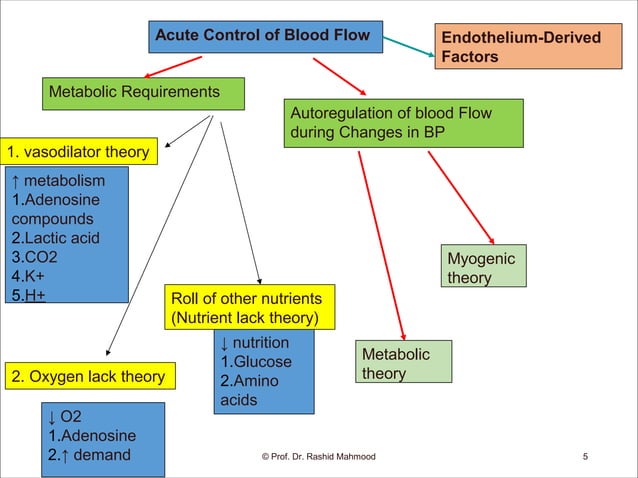 Mechanism of blood flow control-II | PPT
