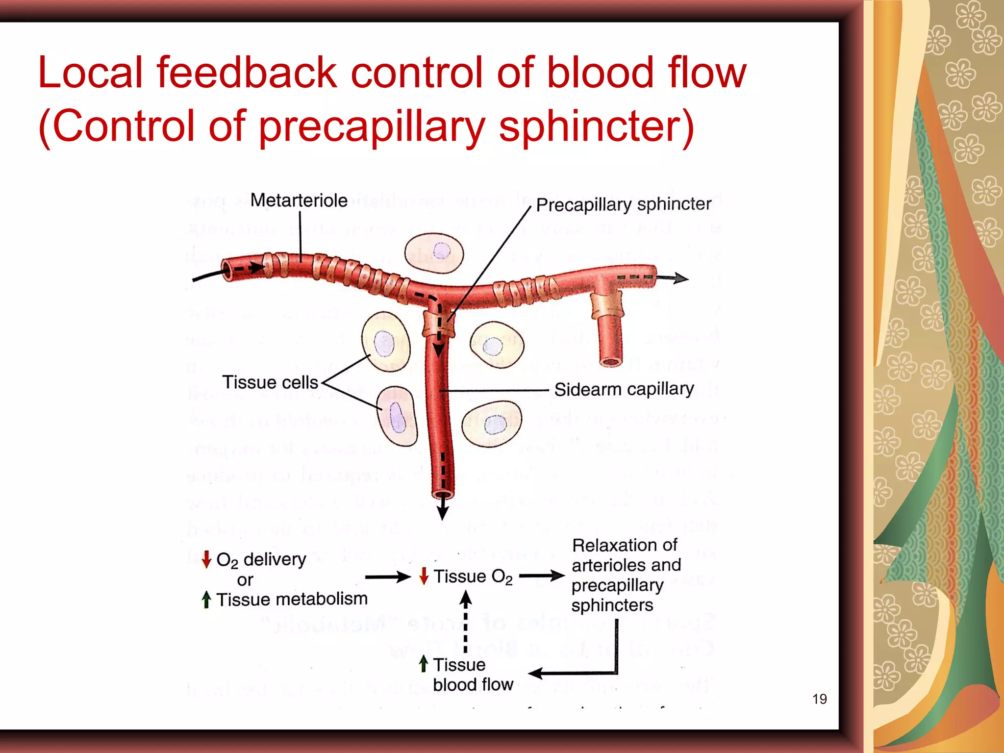 Mechanism of blood flow control-I | PPT