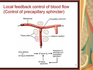 Mechanism of blood flow control-I | PPT