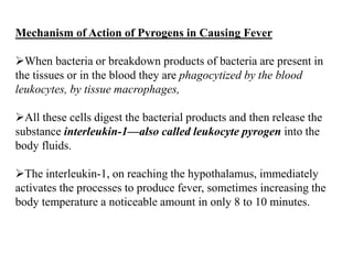 Mechanism of body temperature | PPTX | Endocrine and Metabolic Diseases ...
