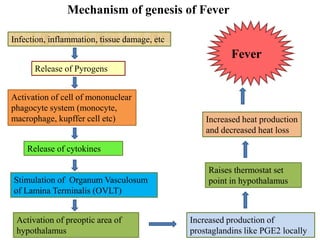 Mechanism of body temperature | PPTX