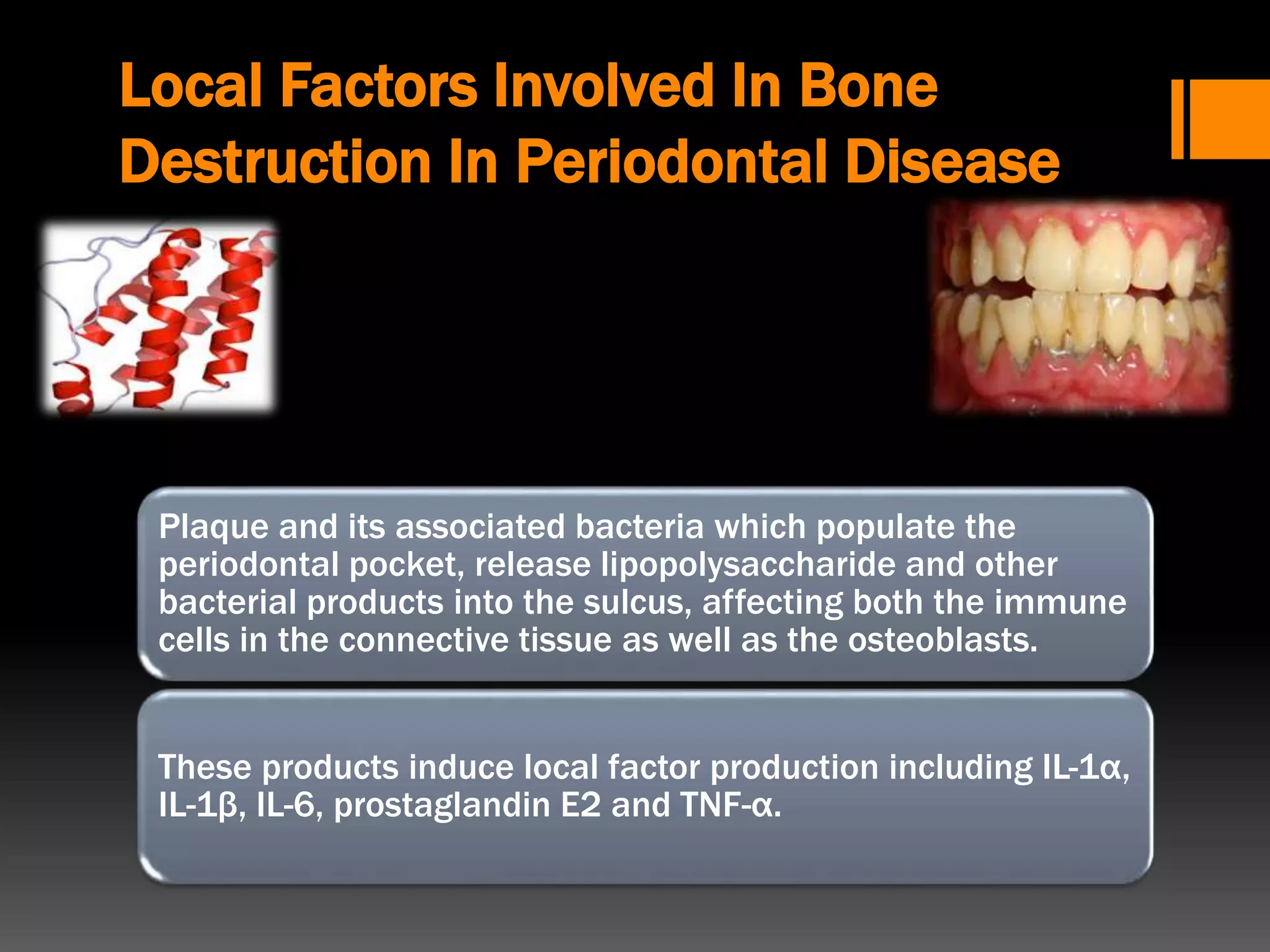 Mechanism of bone loss and patterns of bone loss | PPT