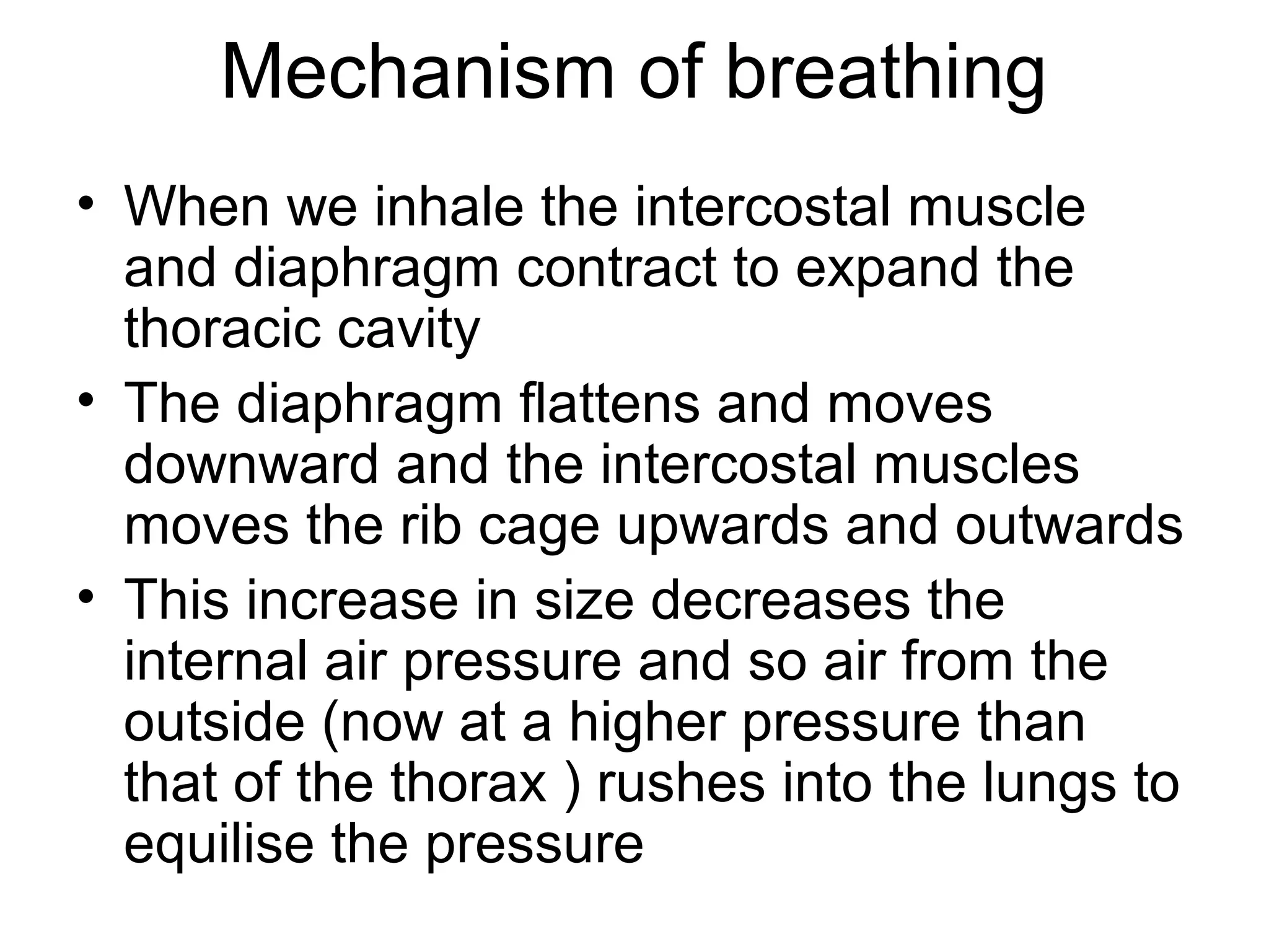 Mechanism of breathing | PPT