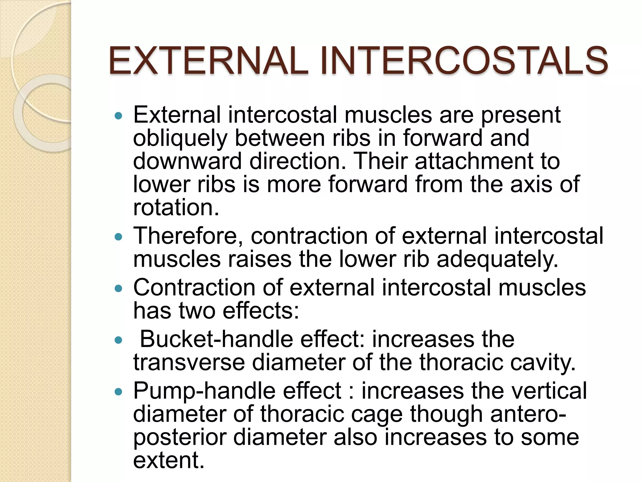 Mechanism of breathing | PPTX
