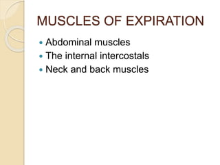 Mechanism of breathing | PPTX