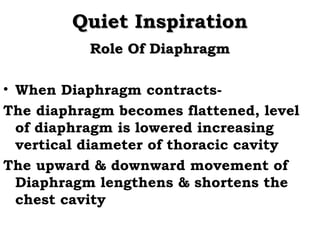 Mechanism Of Breathing dental physio.ppt