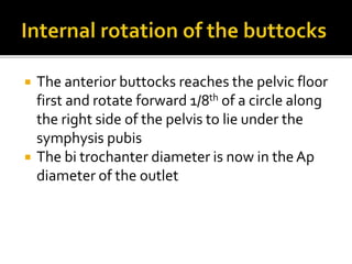 Mechanism of Breech.pptx