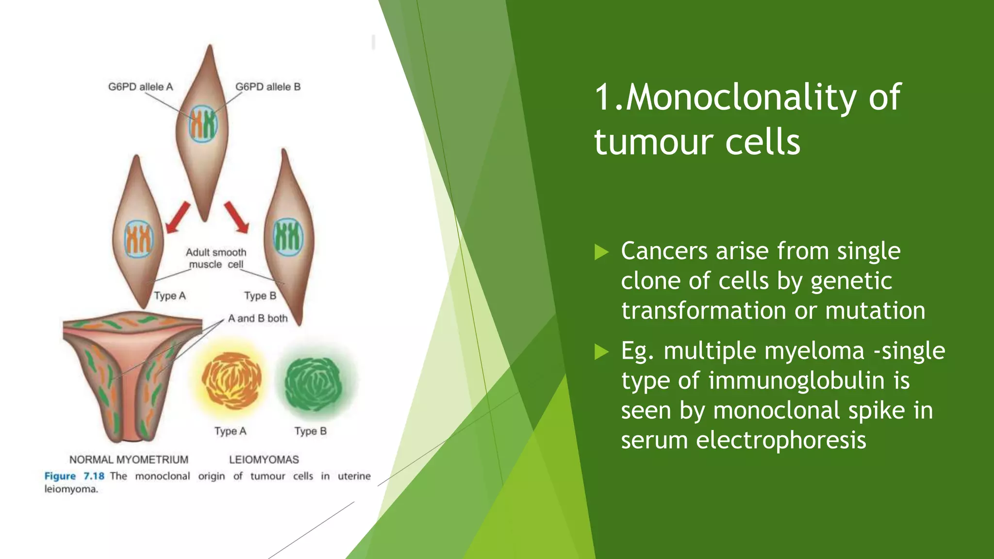 Mechanism of cancer 1-2.pptx