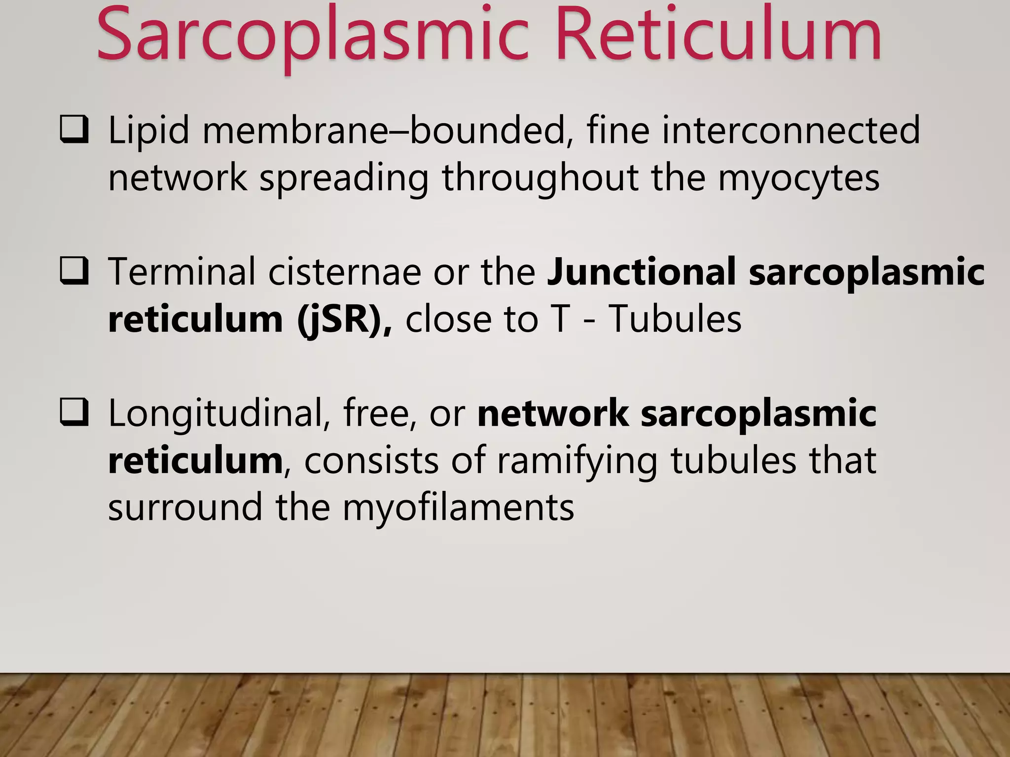 Mechanism of cardiac contraction dr vaibhav yawalkar | PPTX