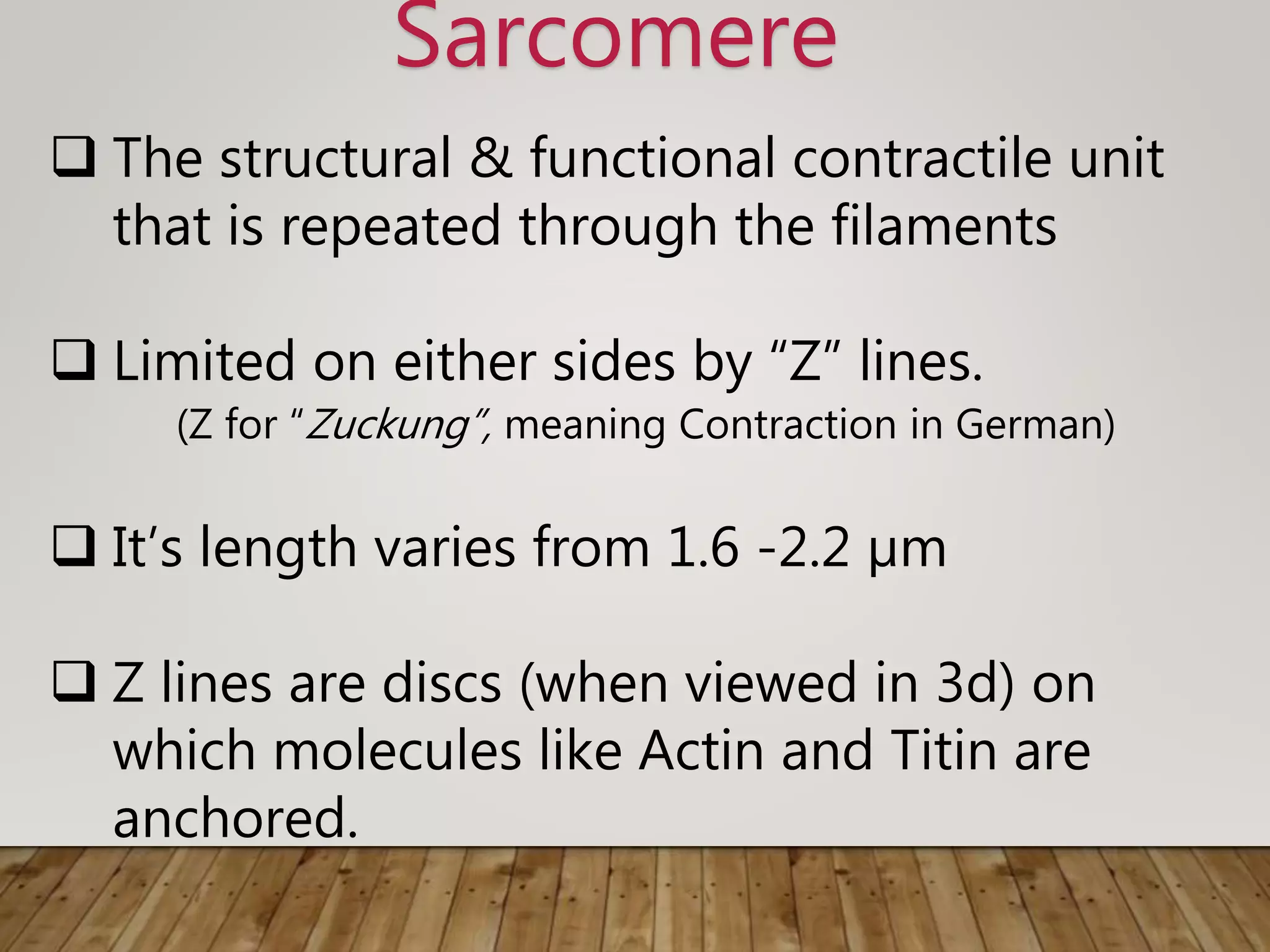 Mechanism of cardiac contraction dr vaibhav yawalkar | PPTX