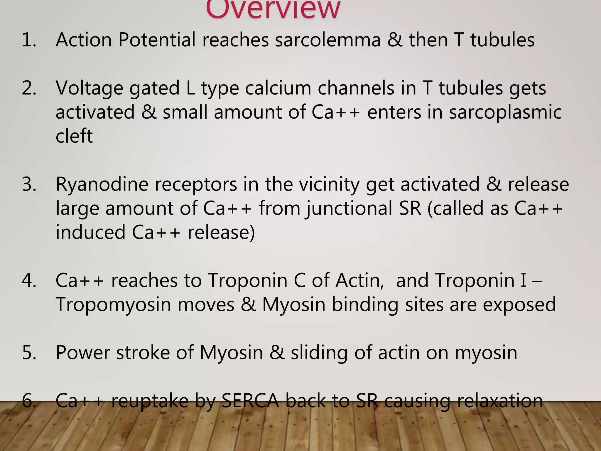 Mechanism of cardiac contraction dr vaibhav yawalkar | PPTX