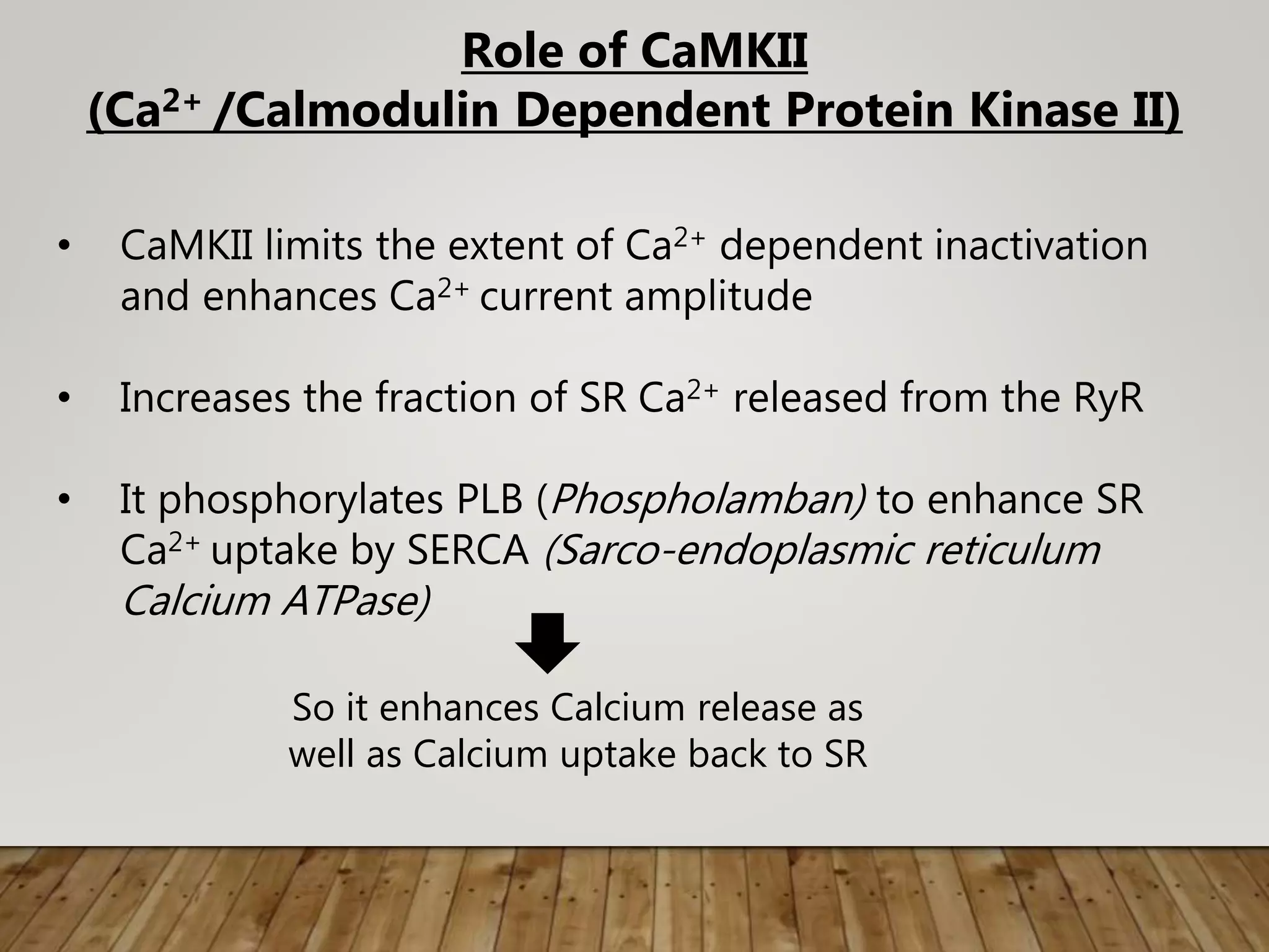 Mechanism of cardiac contraction dr vaibhav yawalkar | PPTX