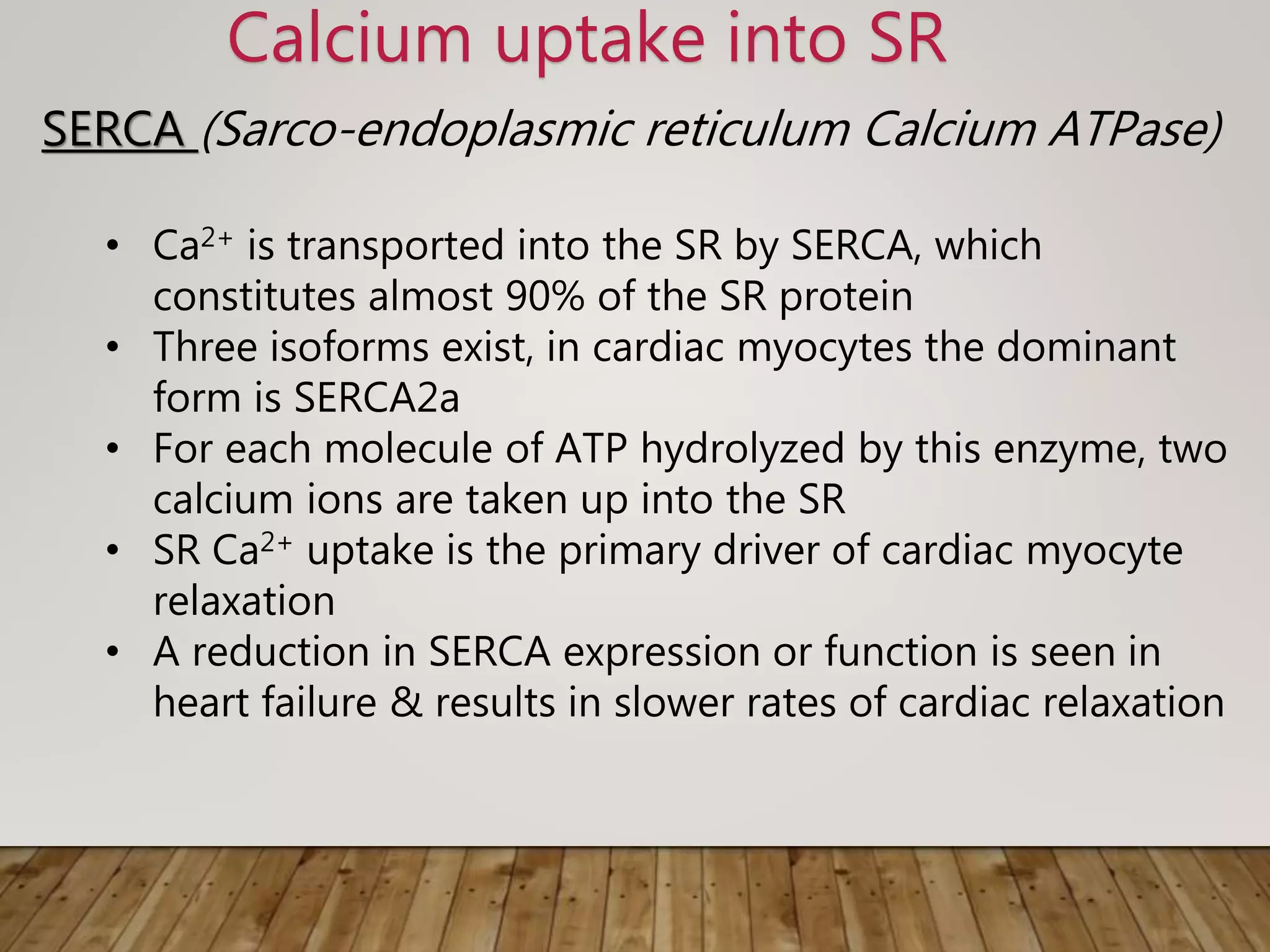 Mechanism of cardiac contraction dr vaibhav yawalkar | PPTX