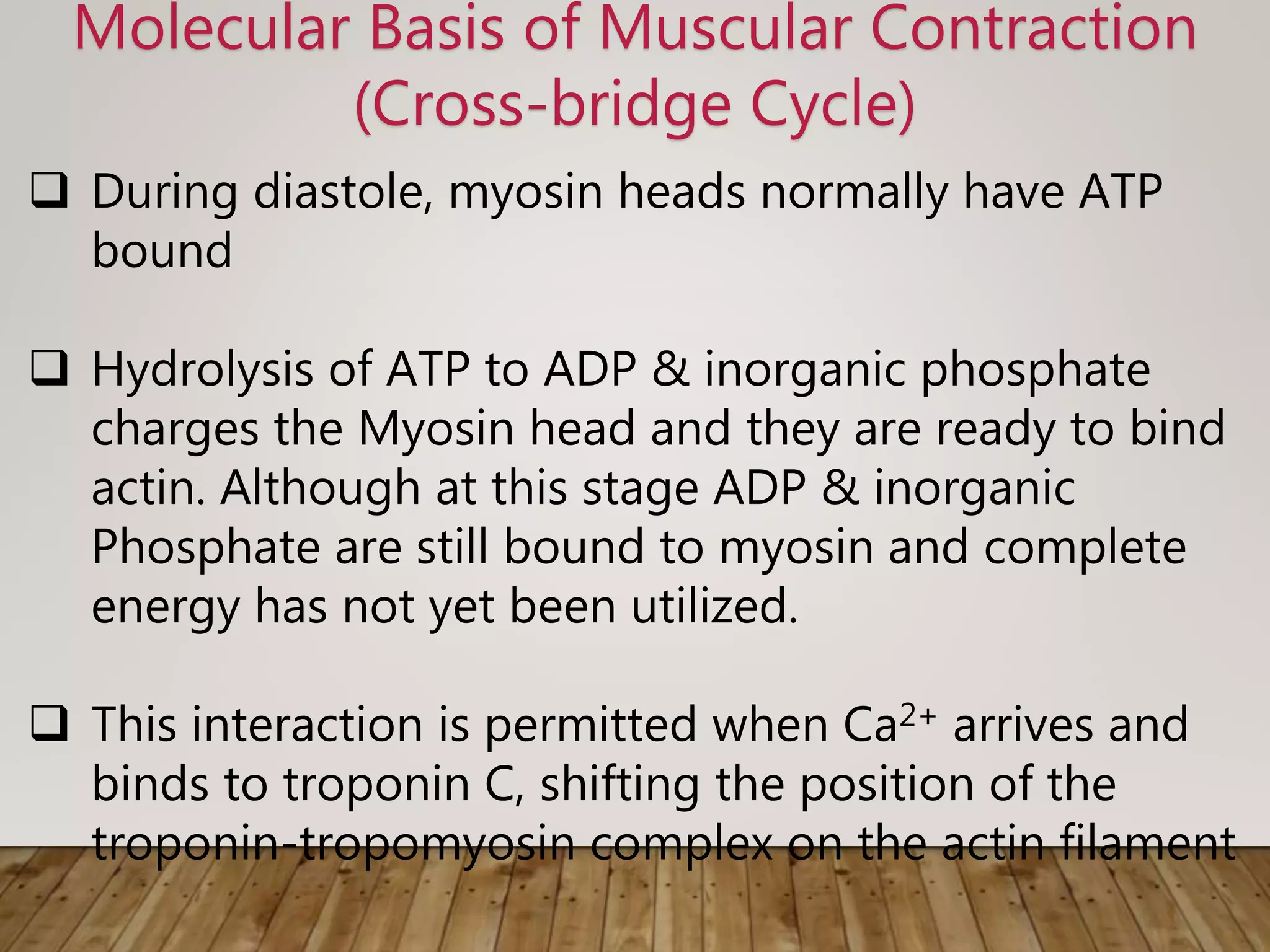 Mechanism of cardiac contraction dr vaibhav yawalkar | PPTX